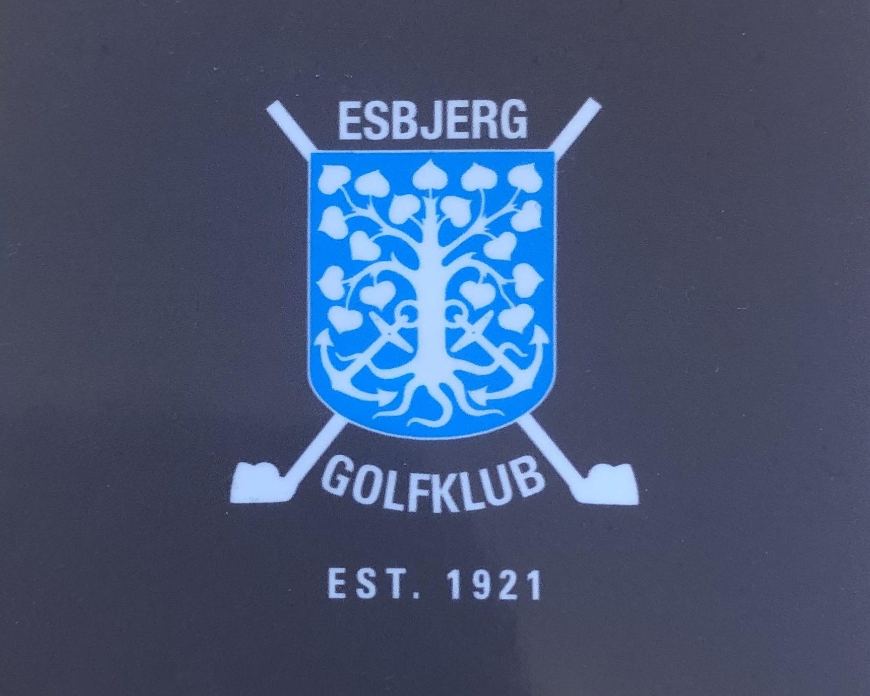 Hul 9 - Esbjerg Golfklub
